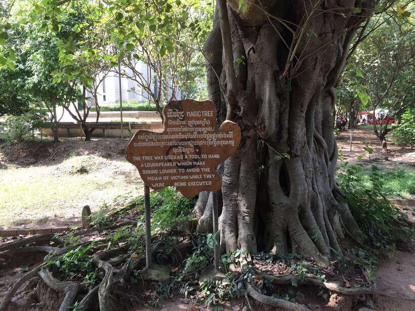 Private Half Day to Killing Field and S21 Genocidal Museum - A Clear Look at the Experience