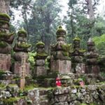 Private Half- Day Tour in Wakayama Koyasan - A Closer Look at the Tour Experience