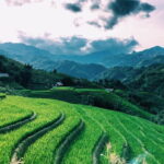 Private Half-Day Tour of Villages, Terrace Rice Fields by Car - Why This Tour Works for Different Types of Travelers