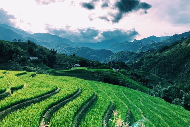 Private Half-Day Tour of Villages, Terrace Rice Fields by Car - Why This Tour Works for Different Types of Travelers