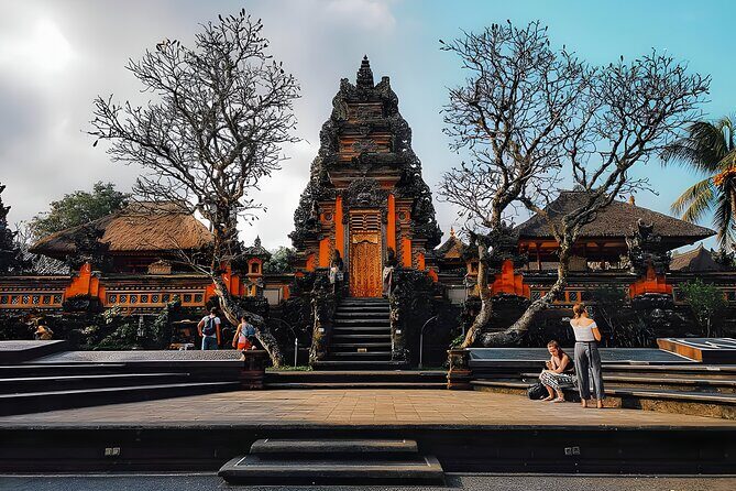 Private Half Day-Tour: Ubud Waterfall Trip - Authentic Feedback: What Real Travelers Say