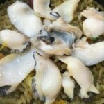 Private Half-Day Udo Tour in Jeju Island - The Itinerary in Detail: What to Expect