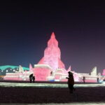 Private Harbin Winter Highlights Day Tour with Manchurian-Han Style Lunch - The Practicalities: What to Expect