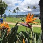 Private Hawaii Pearl Harbor Tours and North Shore (up to 12 people ) - The Practicalities and Value