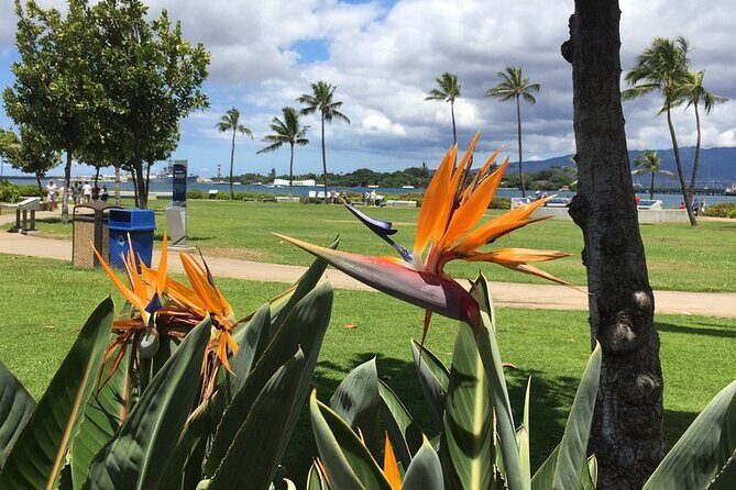 Private Hawaii Pearl Harbor Tours and North Shore (up to 12 people ) - The Practicalities and Value