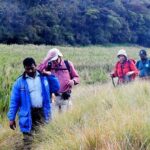 Private Hiking tour to Kirigalpoththa Mountain via Horton Plains - Analyzing the Value: Is It Worth the Price?