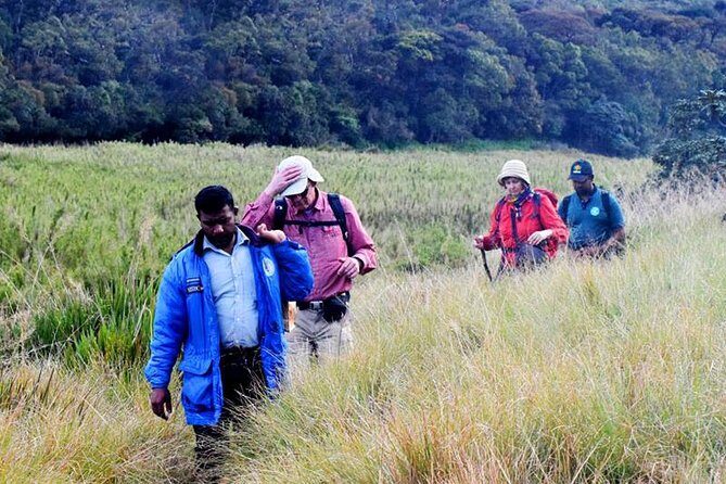Private Hiking tour to Kirigalpoththa Mountain via Horton Plains - Analyzing the Value: Is It Worth the Price?