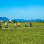 Private Hoi An to My Son Sanctuary Full-Day Bike Tour - Value and Practical Details
