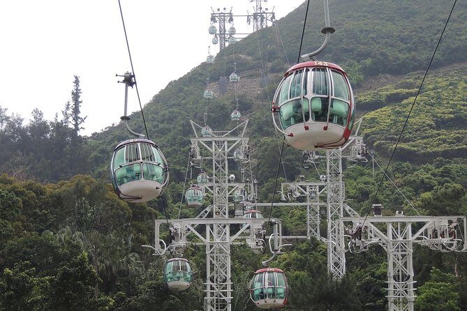 Private Hong Kong Tour for Families with a Local, 100% Personalized - What Youll Experience at Each Stop