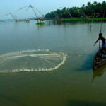 Private Houseboat Backwater Day Cruise tour with Lunch from Cochin - Potential Drawbacks & Considerations
