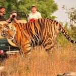 Private: Jaipur To Ranthambore One Way Drop in an AC Vehicle - FAQs