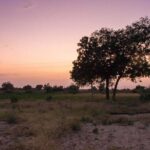 Private Jaisalmer Rural Farm Tour - Why This Tour Matters: Authenticity and Education
