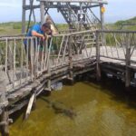 Private Jeep Excursion in Cozumel with Lunch and Snorkeling - Deep Dive into the Details
