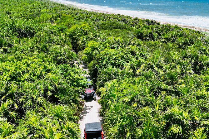 Private Jeep & Polaris RZR: San Gervasio Mayan Ruins & Snorkeling - What’s Included and What to Expect