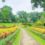 Private Kandy Day Tour from Colombo - The Itinerary: A Detailed Breakdown of What to Expect