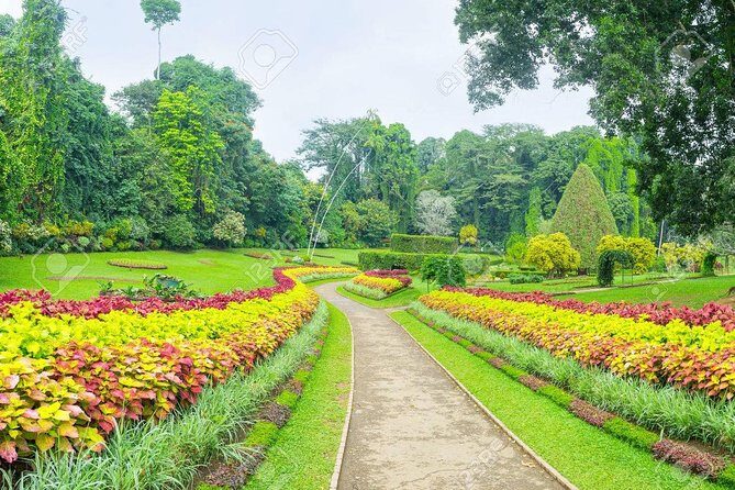 Private Kandy Day Tour from Colombo - The Itinerary: A Detailed Breakdown of What to Expect