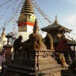 Private Kathmandu Sightseeing Tour 4 UNESCO World Heritage Sites - In-Depth: The Value of Each Site