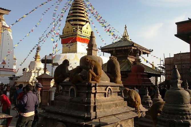 Private Kathmandu Sightseeing Tour 4 UNESCO World Heritage Sites - In-Depth: The Value of Each Site