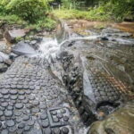 Private Kbal Spean & Banteay Srei Guided Tour - The Guide: Your Key to the Experience