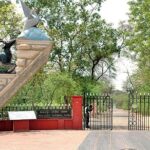 Private Keoladeo National Park Tour sightseeing - All Inclusive - The Itinerary: What to Expect