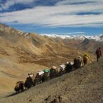 Private Kollywood Tour of Nepal - What to Expect from the Private Kollywood Tour in Kathmandu