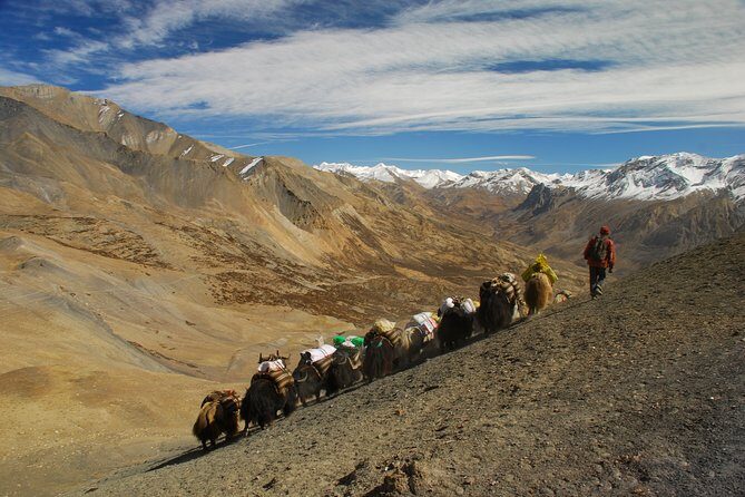 Private Kollywood Tour of Nepal - What to Expect from the Private Kollywood Tour in Kathmandu