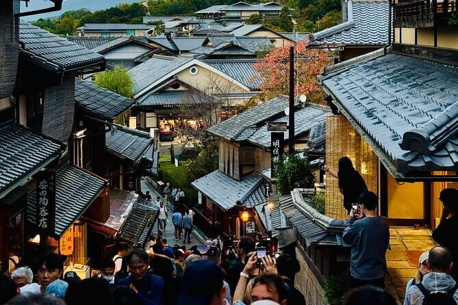 Private Kyoto Customizable Day Tour with English Speaking Driver - Who Is This Tour Best For?