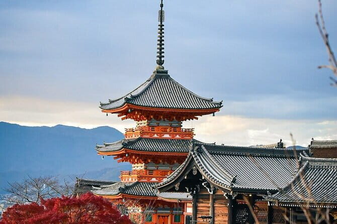 Private Kyoto Customizable Tour With Guide and Luxury vehicle - Additional Considerations and Value