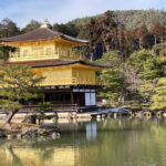 Private Kyoto with Exceptional Guide Tailored to Your Needs - What Makes This Tour a Great Value?