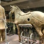 Private Lanzhou Bullet Train Trip to Xi'an: Terracotta Warriors and City Wall - What’s Included and What’s Not