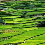 Private Layover Tour to Tianluokeng Tulou from Xiamen Airport or Cruise Port - What Travelers Say About This Tour