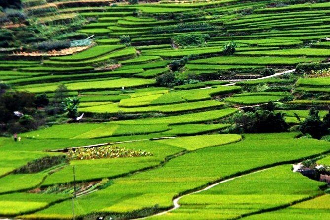 Private Layover Tour to Tianluokeng Tulou from Xiamen Airport or Cruise Port - What Travelers Say About This Tour