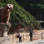 Private Lijiang Day Trip to Upper Tiger Leaping Gorge and Black Dragon Pool - The Itinerary Unpacked: What Makes Each Stop Special