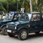 Private Lion Safari in the Gir National Park in Gujarat - The Safari Experience: What to Expect