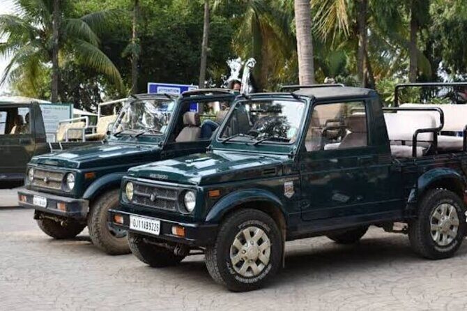 Private Lion Safari in the Gir National Park in Gujarat - The Safari Experience: What to Expect