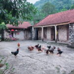 Private Luxury Day Tour: Thien Ha cave - local family - Trang An - What This Tour Means for You