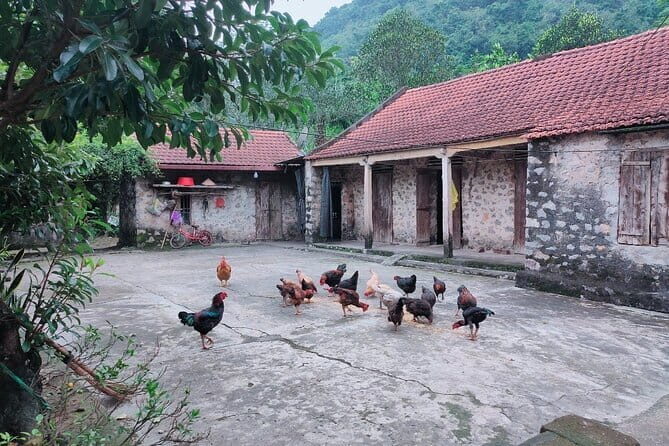 Private Luxury Day Tour: Thien Ha cave - local family - Trang An - What This Tour Means for You