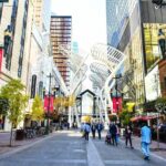 Private Luxury Full Day Calgary City Tour by Car - The Practicalities: How the Tour Works in Real Life