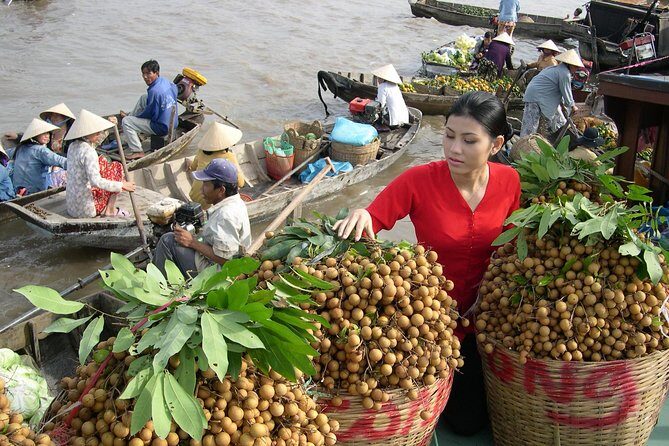 PRIVATE LUXURY Mekong Delta full day from HCM city - What the Reviews Say