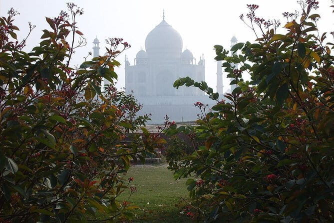 Private luxury same day trip to Taj Mahal from Delhi - The Taj Mahal: An Icon in Detail
