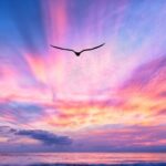 Private Luxury Sunset Cruise in Waikiki - Authentic Perspectives and What Travelers Say