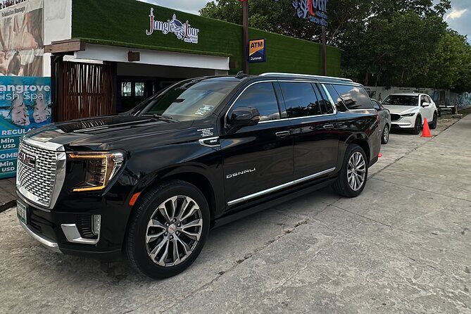 Private Luxury Transportation to and from the Airport - What to Expect When Booking