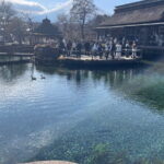 Private Luxury vellfire Tour Experience To Fuji And Hakone - Final Thoughts