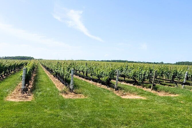 Private Luxury Wine Tours of Long Island Pindar Winery - The Intangible Value: What You Get for Your Money