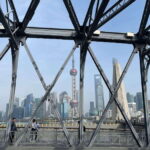 Private Lyaover: Cruising Shanghai in A Tesla - Practical Tips for Booking and Enjoying the Tour