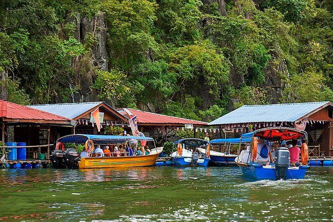 Private Mangrove Tour 3 Hour (max 8 People) - What the Tour Offers: A Detailed Breakdown