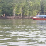 Private Mangrove Tour, Beach & Refreshing Waterfall - Exploring Kilim Geoforest Park