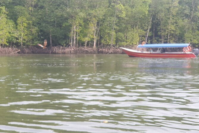Private Mangrove Tour, Beach & Refreshing Waterfall - Exploring Kilim Geoforest Park