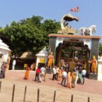 Private Mathura Vrindavan Tour from Delhi - What We Think: The Practicalities and Experience