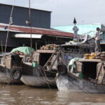 Private Mekong Delta Less Tourist - Coconut Island Tour - Transportation and Group Size